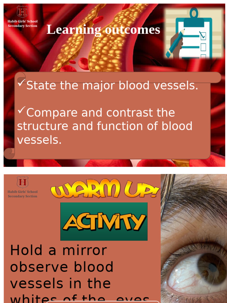 Blood Vessel Ppt (2) | PDF | Vein | Artery