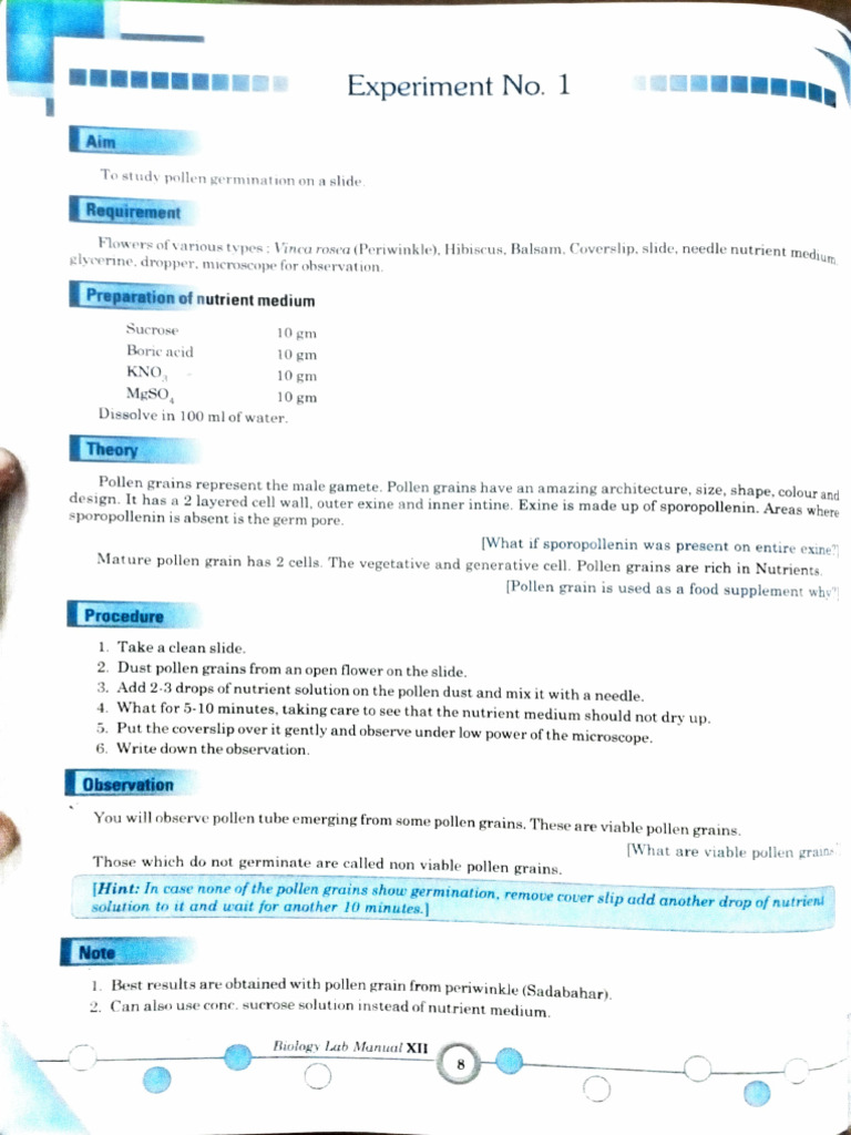 Biology Practical Class 12 | PDF | Chromosome | Pollen