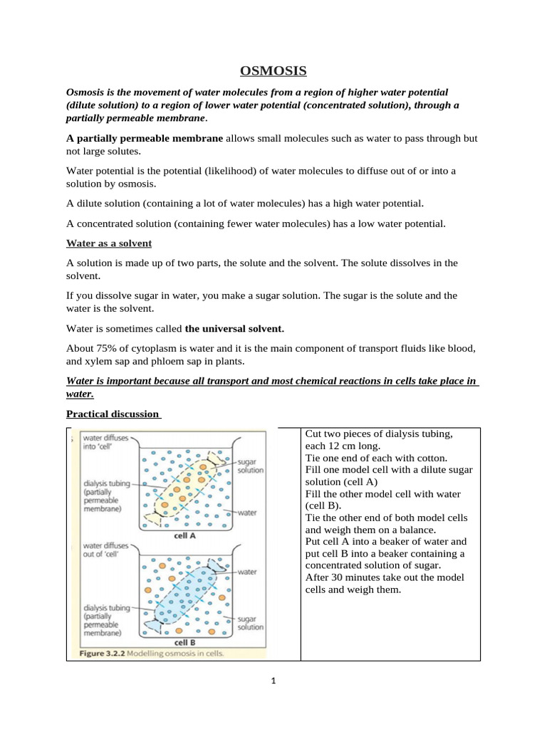 Osmosis | PDF | Osmosis | Vacuole