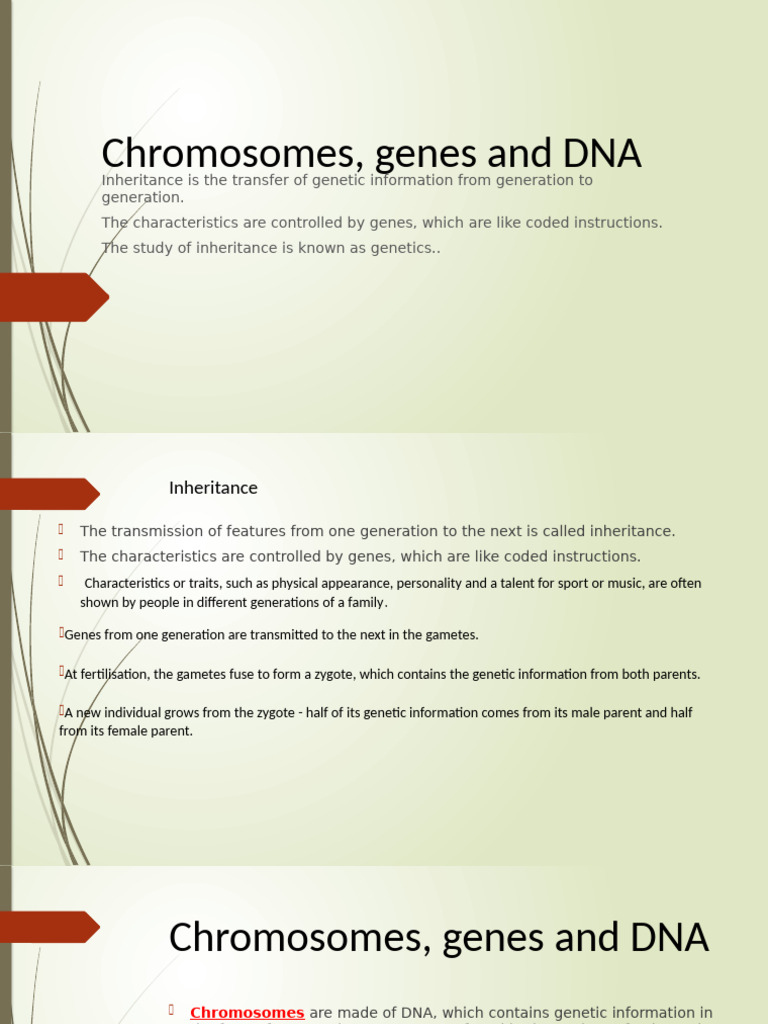 Chromosomes, Genes and DNA..1new | PDF | Translation (Biology) | Proteins