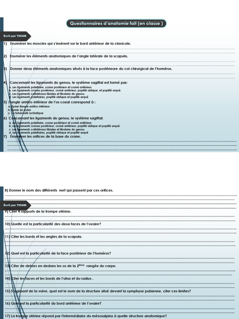 Questionnaire D'anatomie (MAC) | PDF