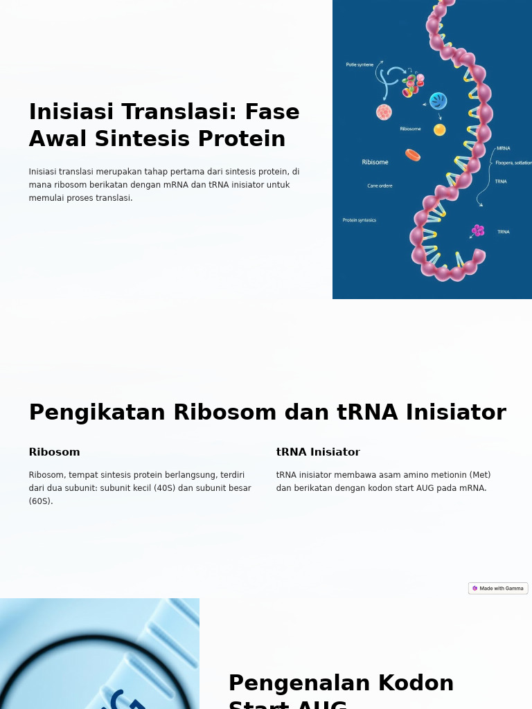 Inisiasi-Translasi-Fase-Awal-Sintesis-Protein | PDF