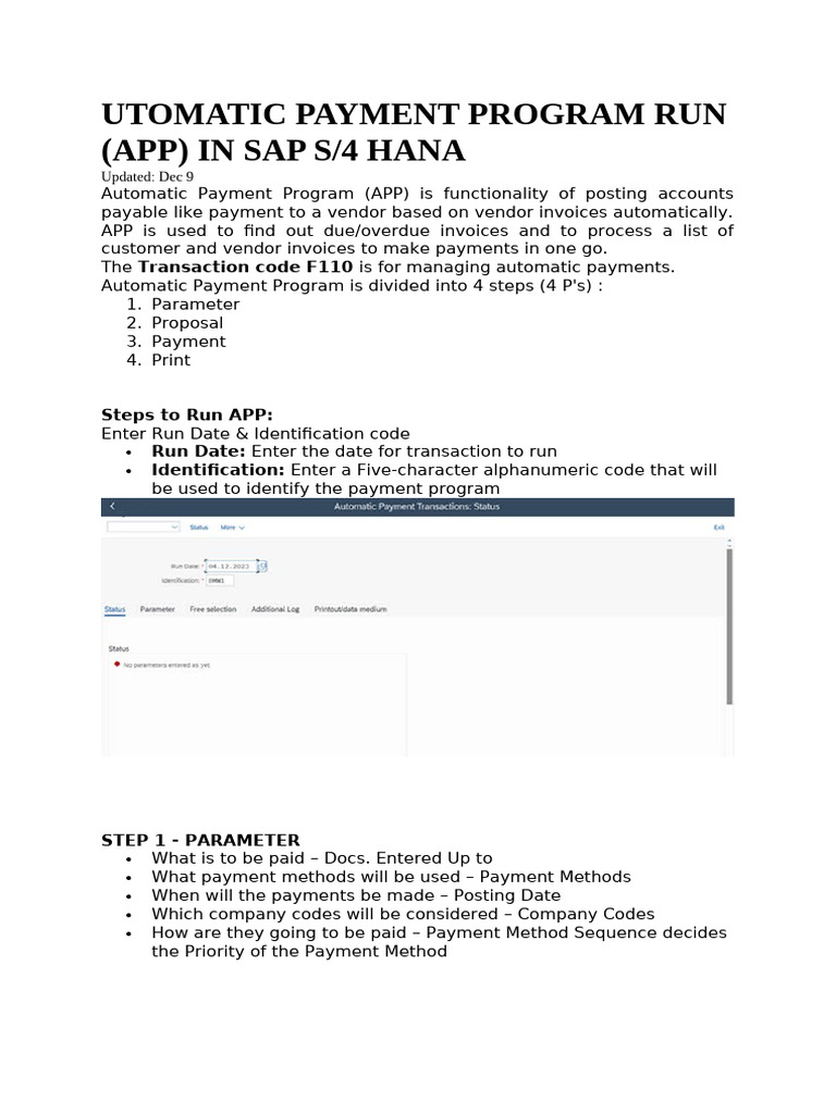 AUTOMATIC PAYMENT PROGRAM RUN | PDF | Invoice | Payments