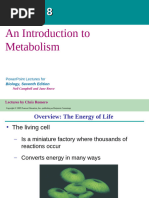 Chapter 8 Study Guide Ap Bio | PDF | Enzyme | Enzyme Inhibitor