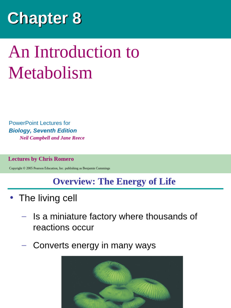 Chapter8 Introduction To Metabolism | PDF | Gibbs Free Energy | Metabolic Pathway