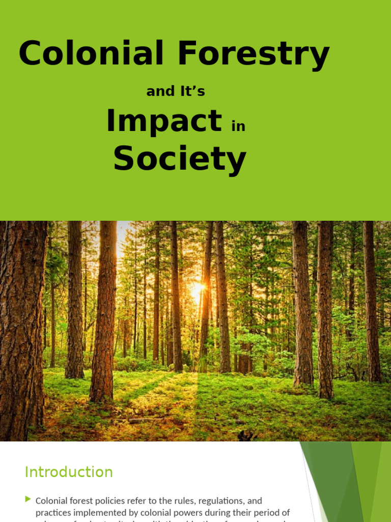 Colonial Forestry and It's Impact in Society | PDF | Agriculture ...