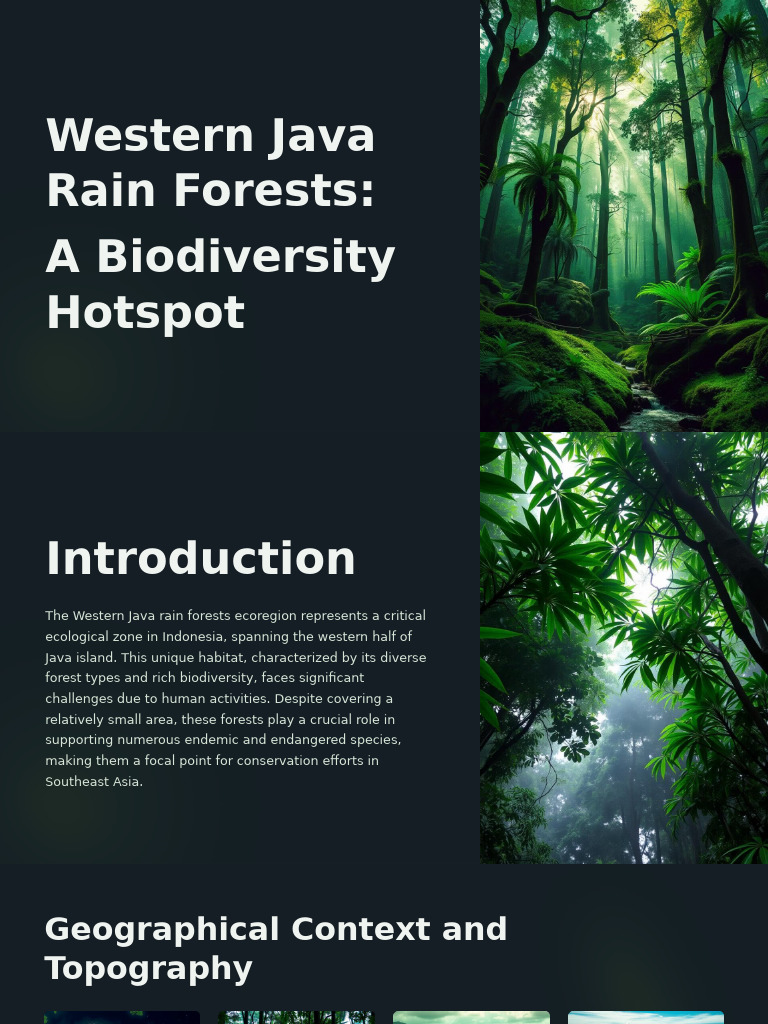 Western-Java-Rain-Forests | PDF | Forests | Rainforest