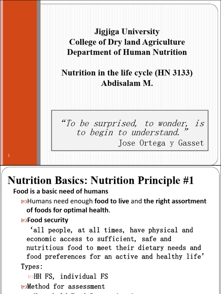 Nutrition in the life cylce (1) | PDF | Breastfeeding | Pregnancy