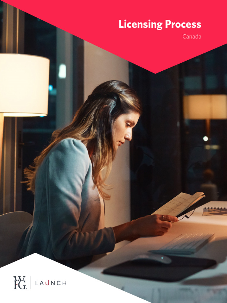 Licensing Process Flow Chart | PDF | Computing | Cyberspace