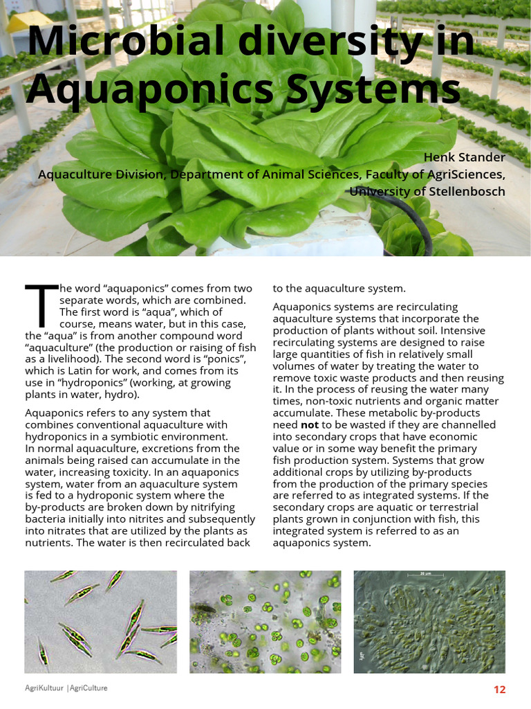Microbes in Aquaponics | PDF | Aquaponics | Bacteria