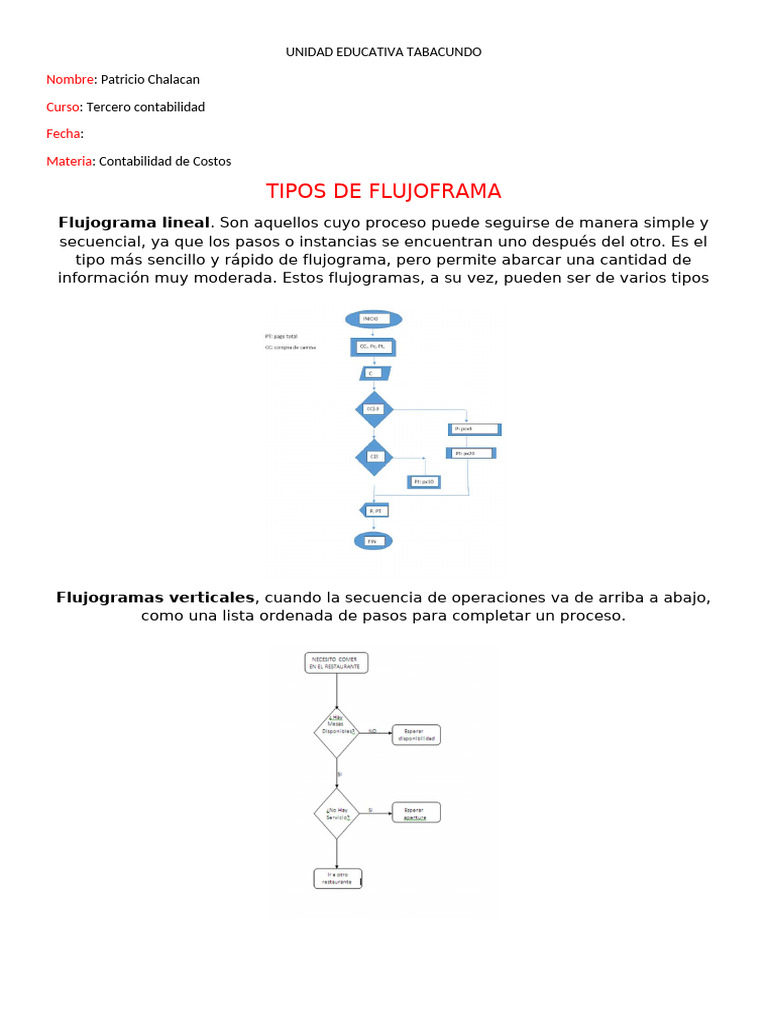 Tipos de Flujogramas | PDF
