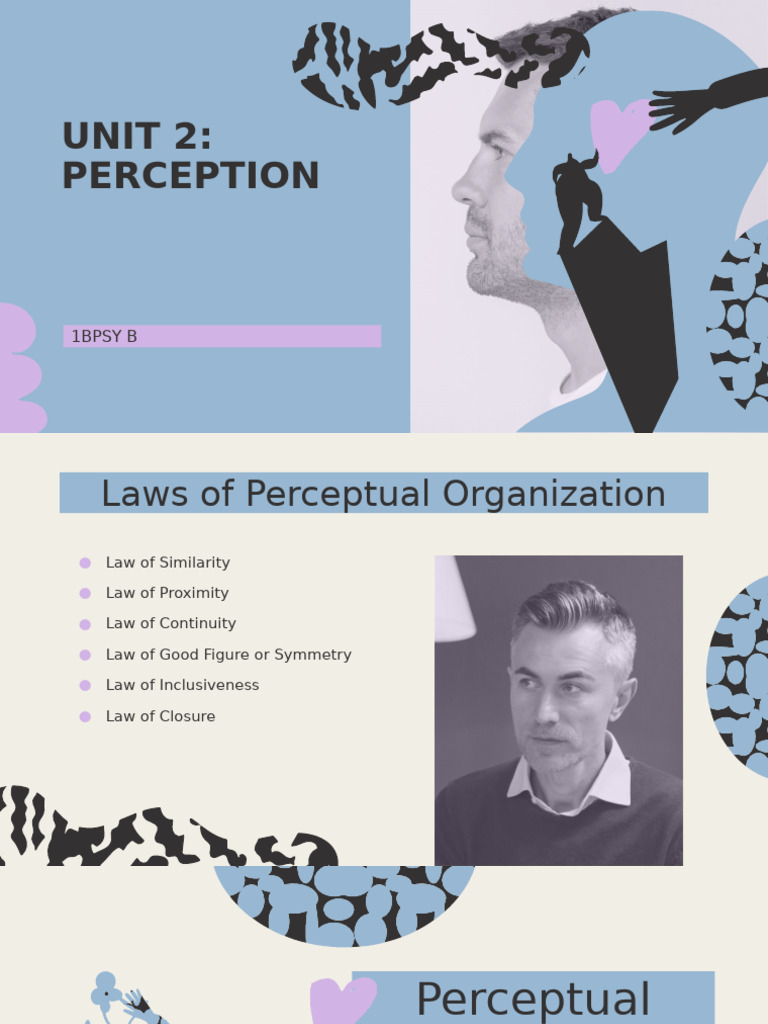 Unit 2 Perception | PDF