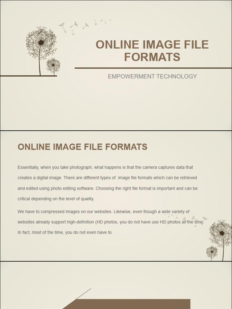 Online Image File Formats | PDF | Data Compression | Film And Video ...