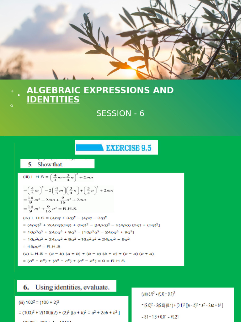 Algebraic Expressions - Session 6 | PDF