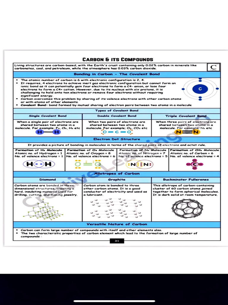 class 15 CC notes | PDF | Ethanol | Carboxylic Acid