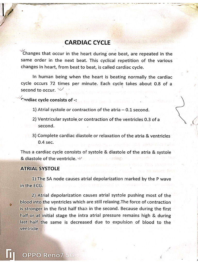 Cardiac Cycle | PDF