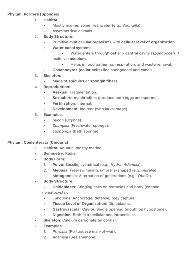 Phylum- Porifera (Sponges) | PDF | Sponge