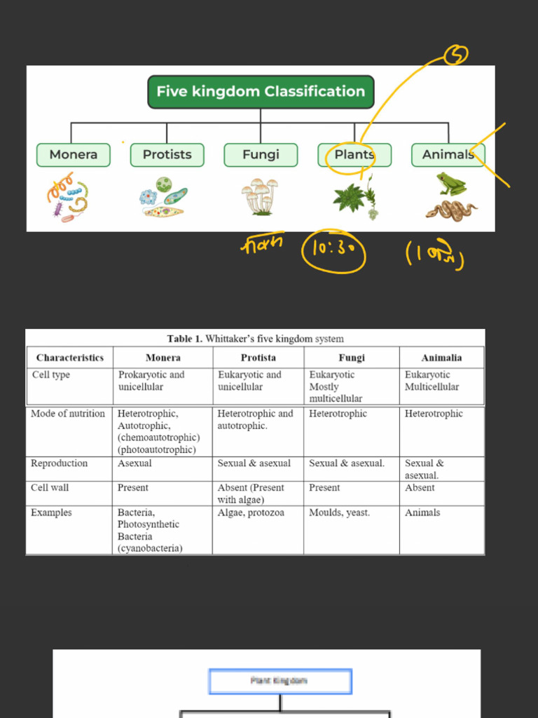 Lecture-40 Five Kingdom Classification (part-1)_9470339827 | PDF