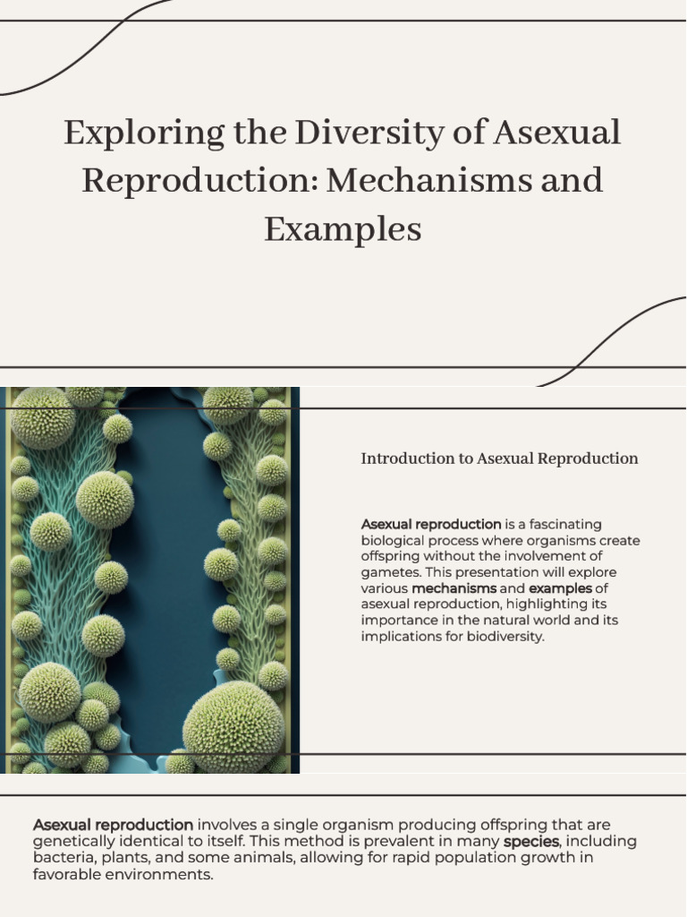 slidesgo-exploring-the-diversity-of-asexual-reproduction-mechanisms-and ...