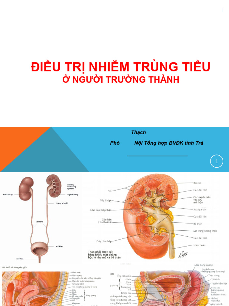 Dieu Tri Nhiem Trung Tieu - bsSaMinh | PDF
