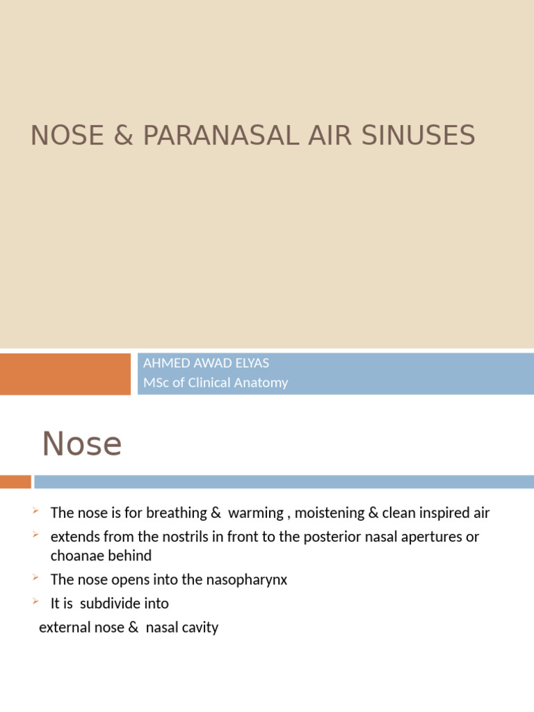 Nose | PDF | Human Nose | Human Head And Neck