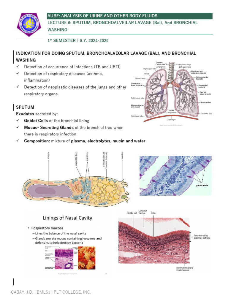 Lecture 6 Sputum, Bronchoalveilar Lavage (Bal), And Bronchial Washing ...