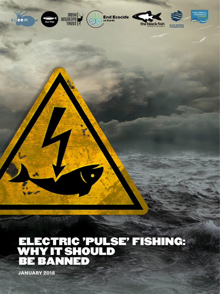Ban on Electric Pulse Fishing Needed | PDF | Trawling | Overfishing