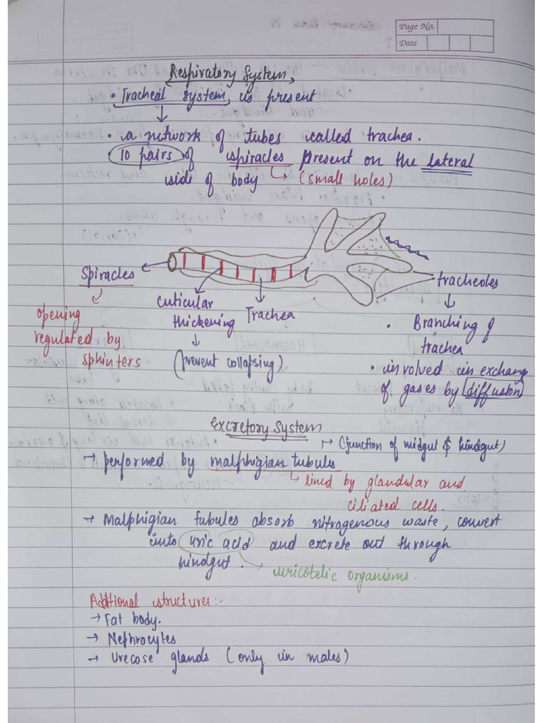 Cockroach Notes | PDF