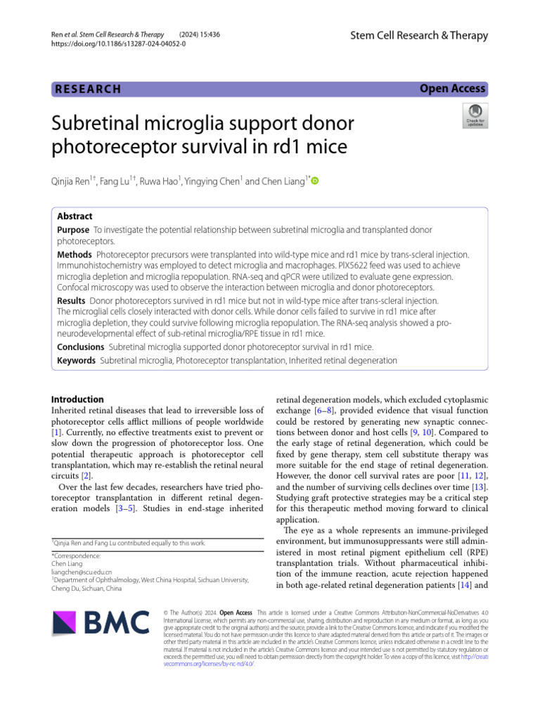 2024_Subretinal Microglia Support Donor | PDF | Retina | Microglia