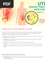 Urinary Tract Infection Presentation | PDF