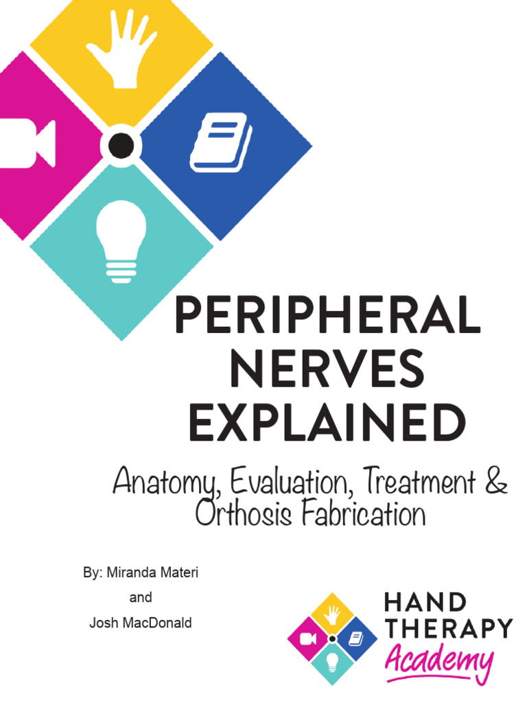 ebook-peripheral-nerves-updated-final | PDF | Elbow | Limbs (Anatomy)