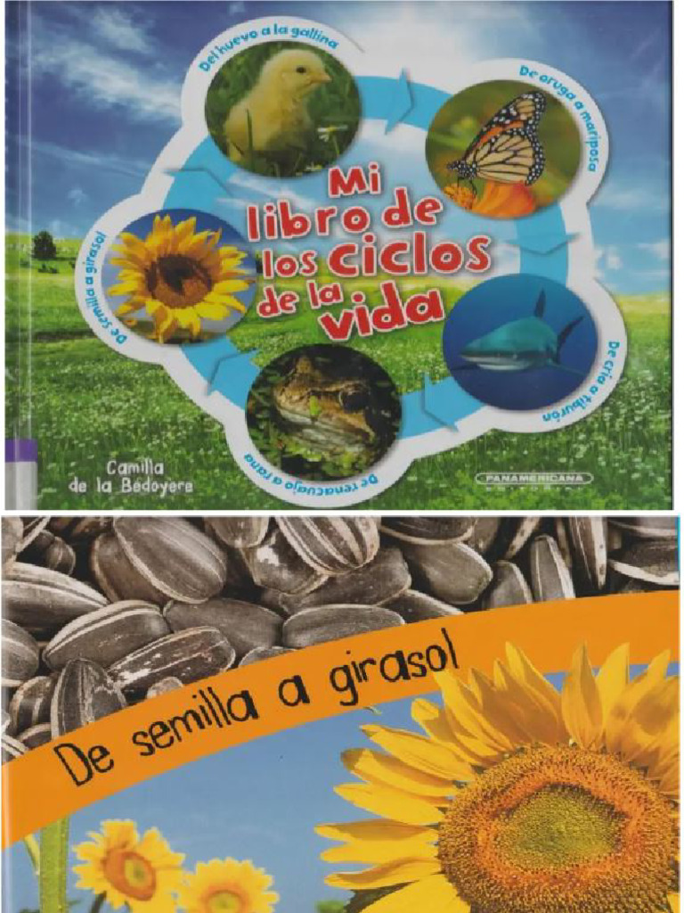 Mi Libro Los Ciclos de La Vida | PDF