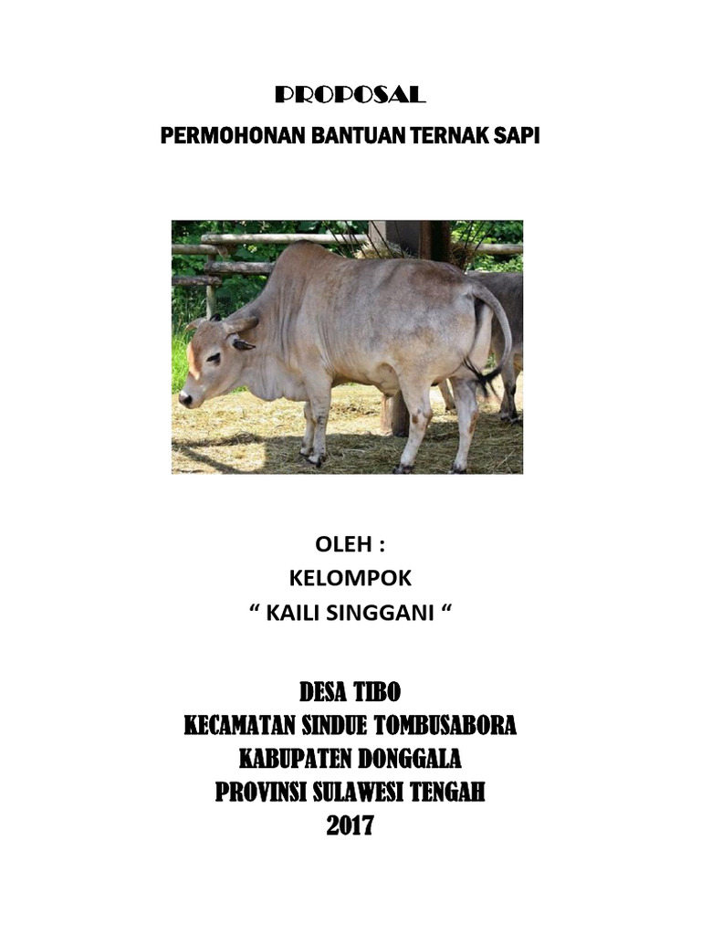 Proposal Ternak Sapi Sintuvu Jaya | PDF