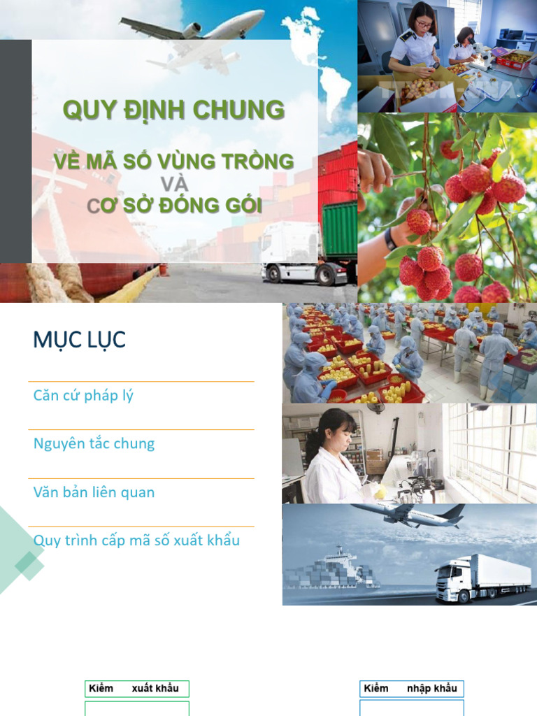 Quy Dinh Chung MSVT ToT - Update 15.7.2022 | PDF
