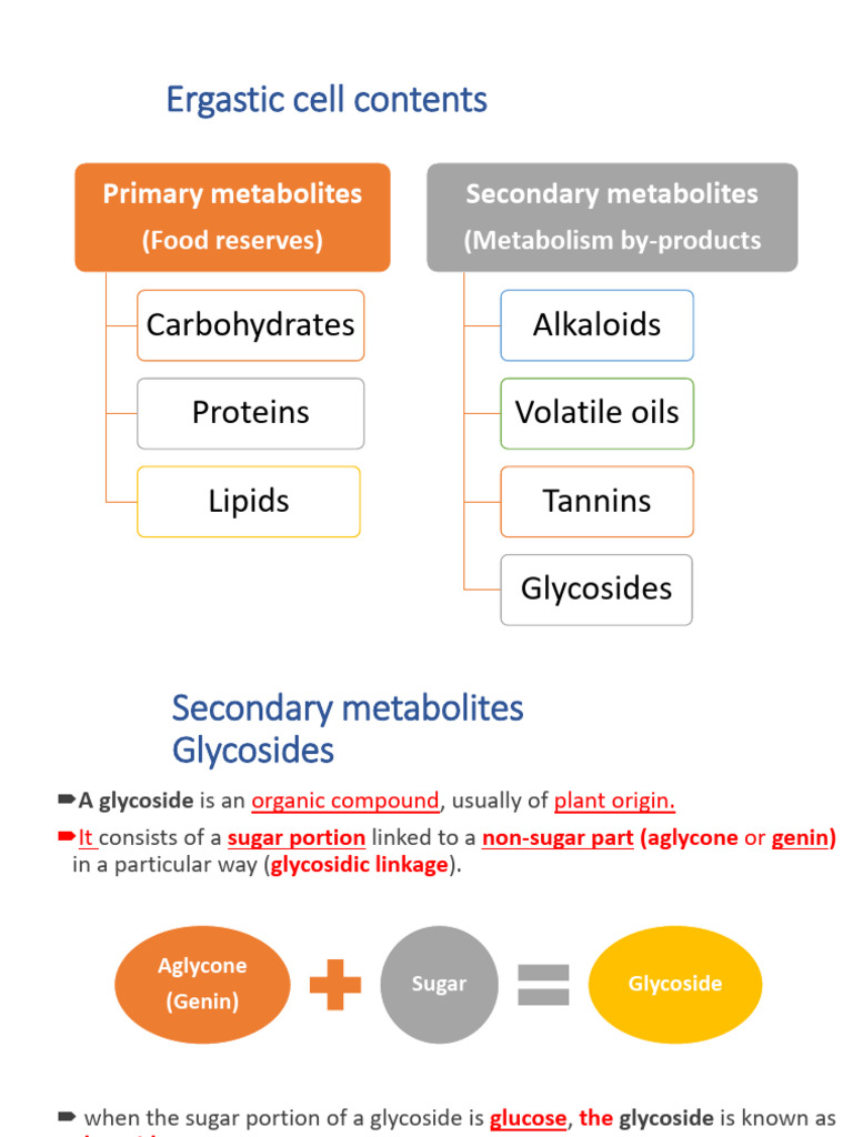 2ry Metabolites | PDF | Chemical Compounds | Organic Compounds