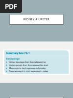 Understanding VUJ Obstruction in Kids | PDF | Urinary Bladder | Urinary ...