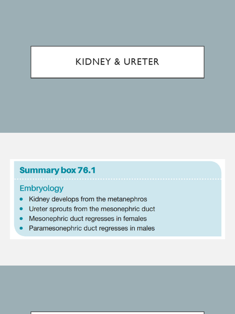 Kidney - Ch 82 | PDF | Kidney | Urinary System