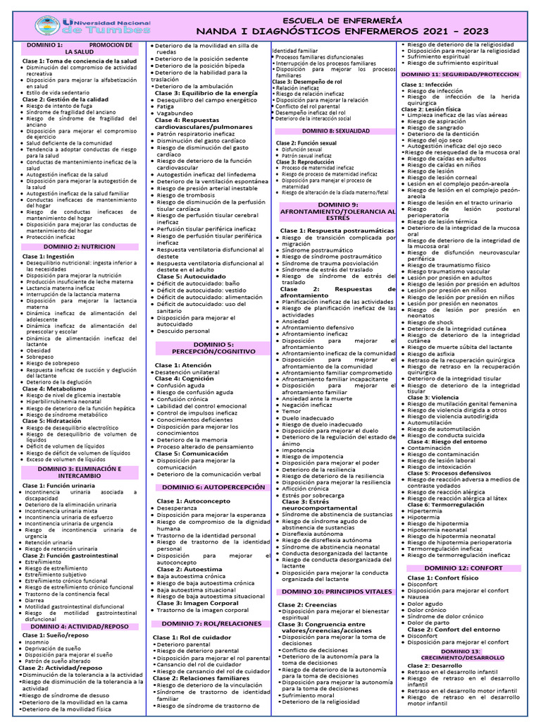 NANDA 2024 | PDF | Estrés (biología) | Amamantamiento