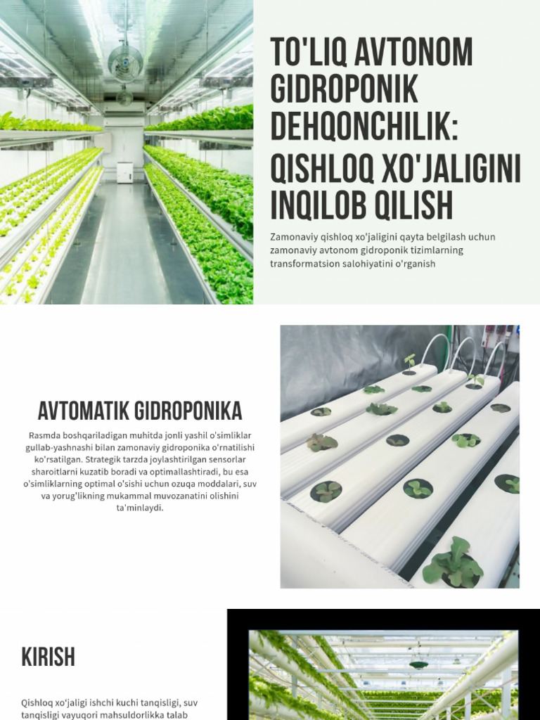 Beautiful - Ai - Fully Autonomous Hydroponic Farming Revolutionizing ...