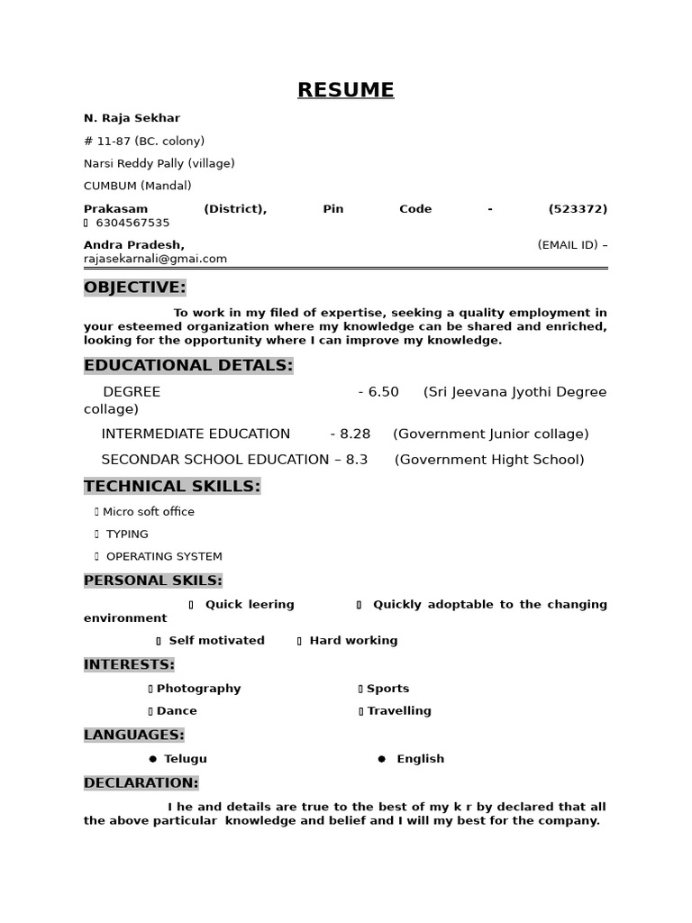 Raja Resume 6304567535 | PDF
