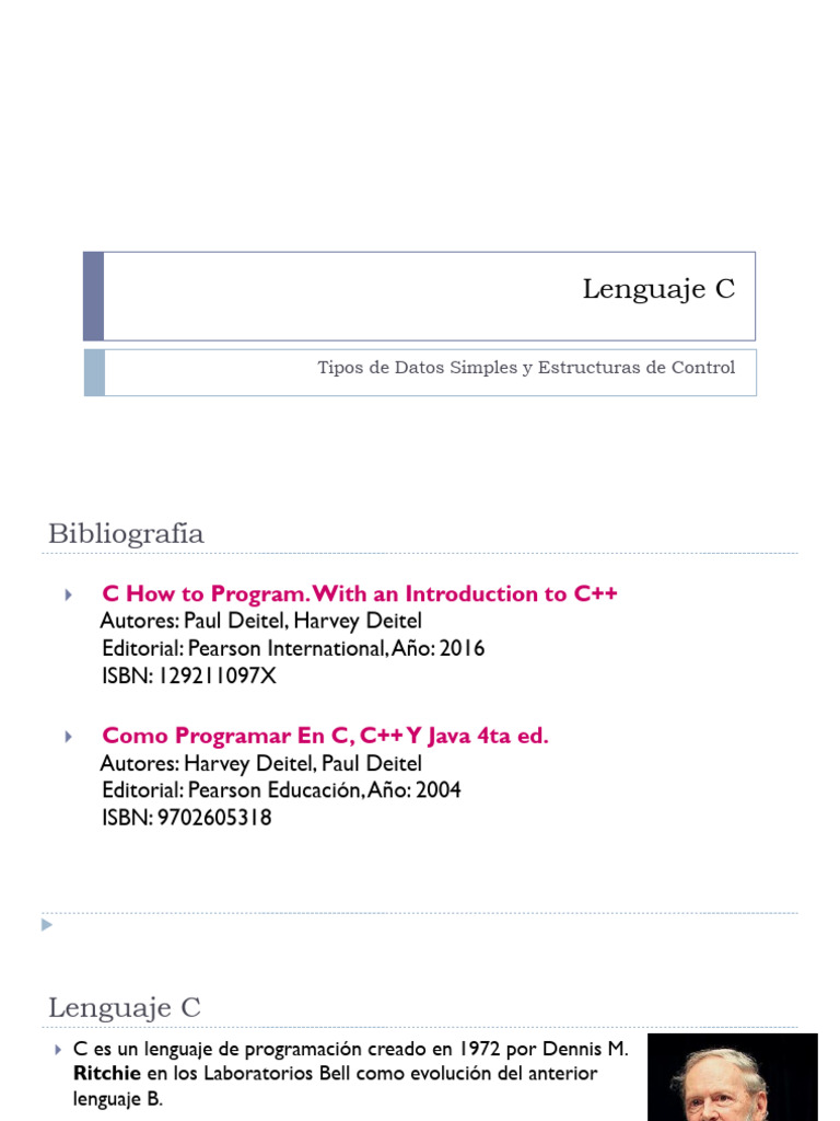 01_Tipos Simples y Estructuras de Control | PDF | C (lenguaje de programación) | Lenguaje de ...