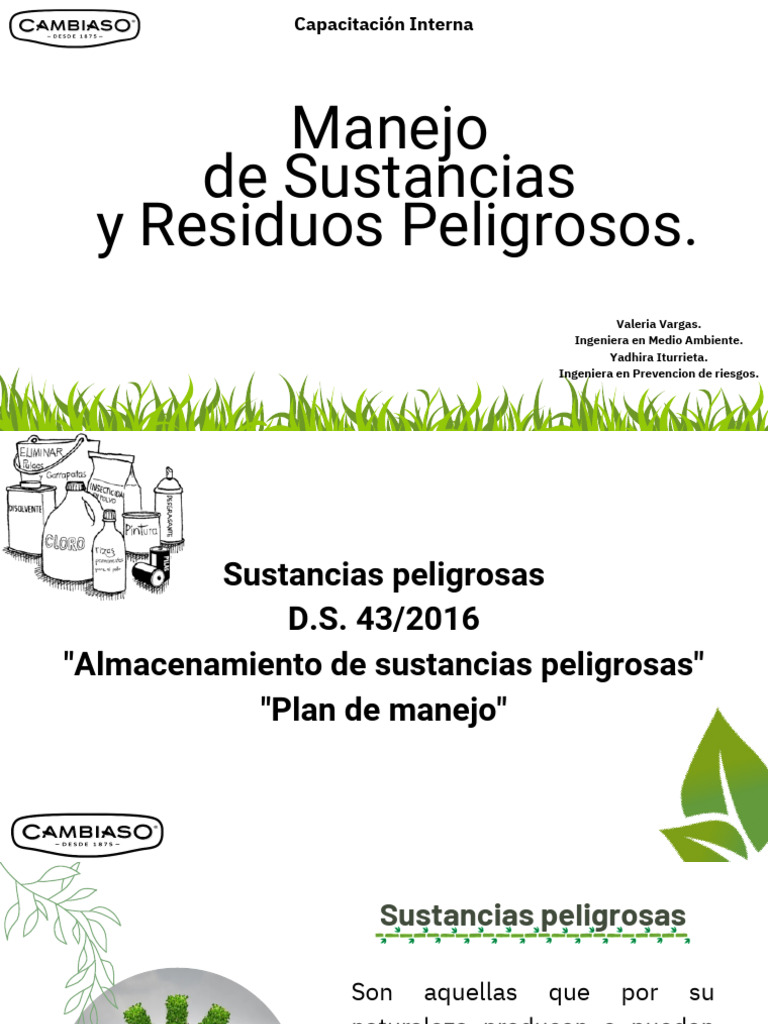 Plan de Manejo de Sustancias y Residuos Peligrosos, Planta Té. | PDF | Alergia | Residuos