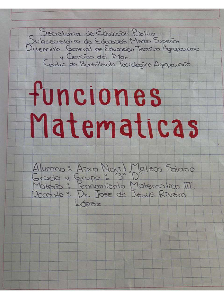 Ensayo de Funciones Aixa Navit Mateos Solano | PDF