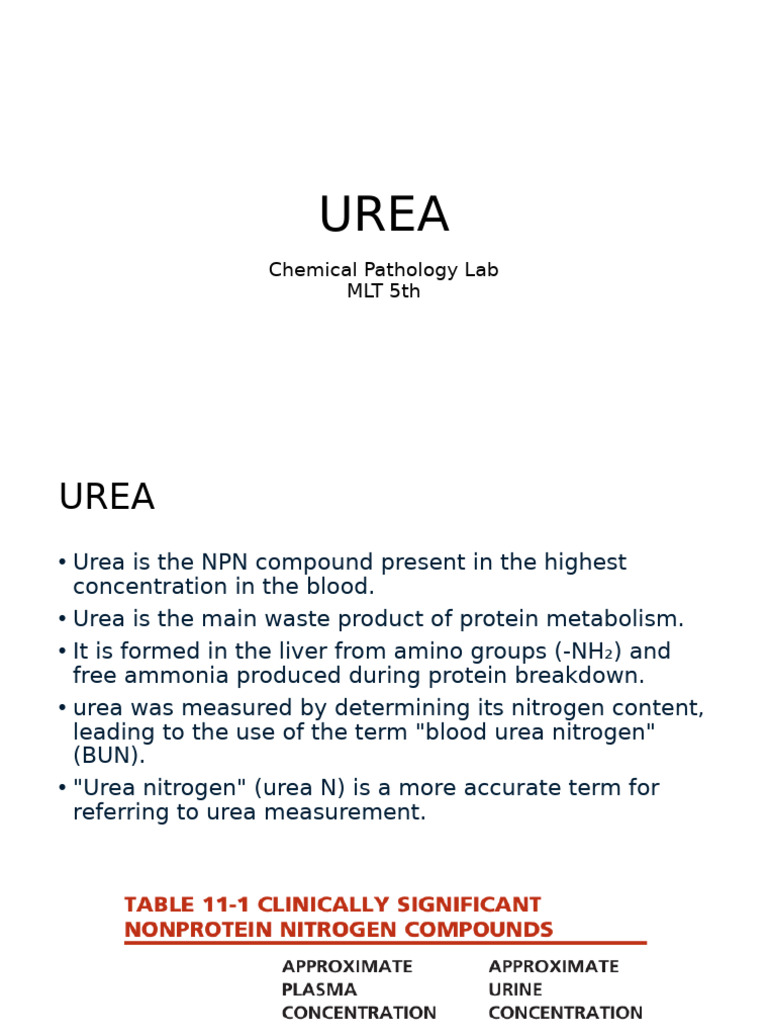 Urea, Uric Acid & Creatinine | PDF | Creatinine | Kidney