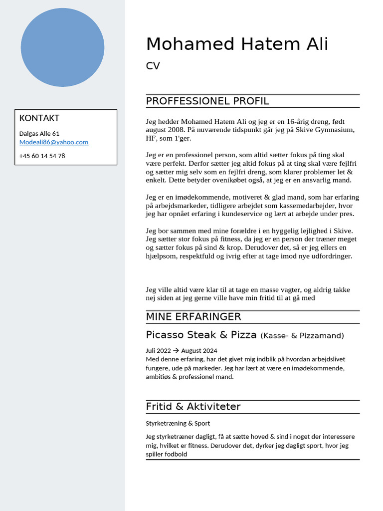 Mohamed-CV (1) | PDF