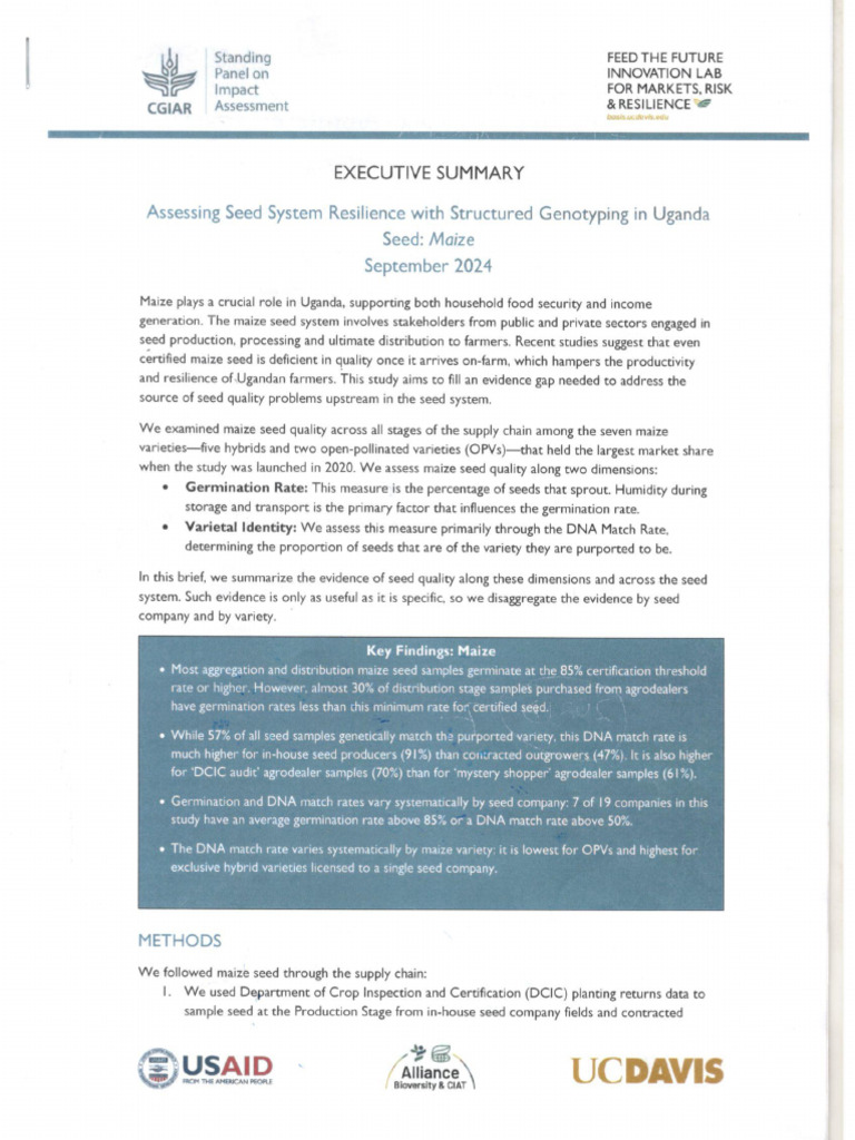 Assessing Seed System Resilience Maize Seed Status | PDF