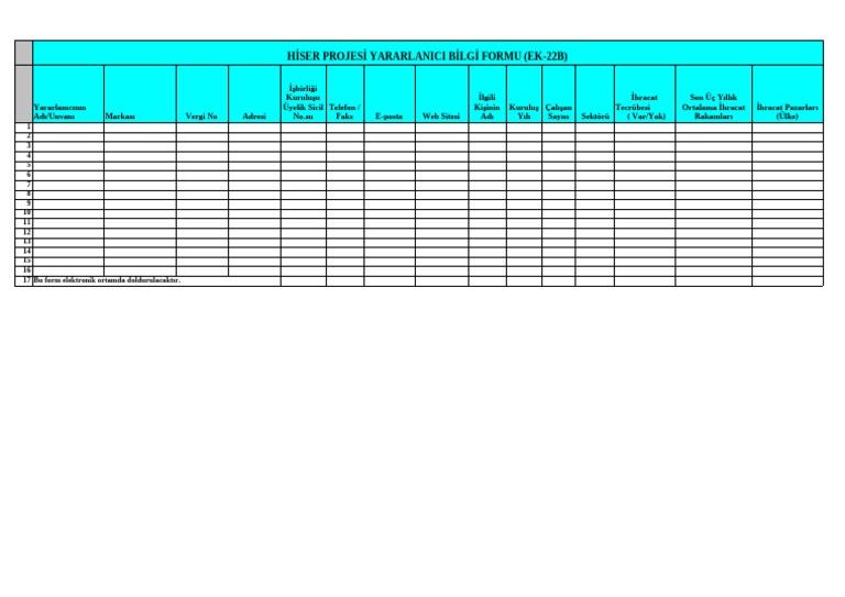 EK-22B Hiser Projesi Yararlanıcı Bilgi Formu (EK-22B) | PDF