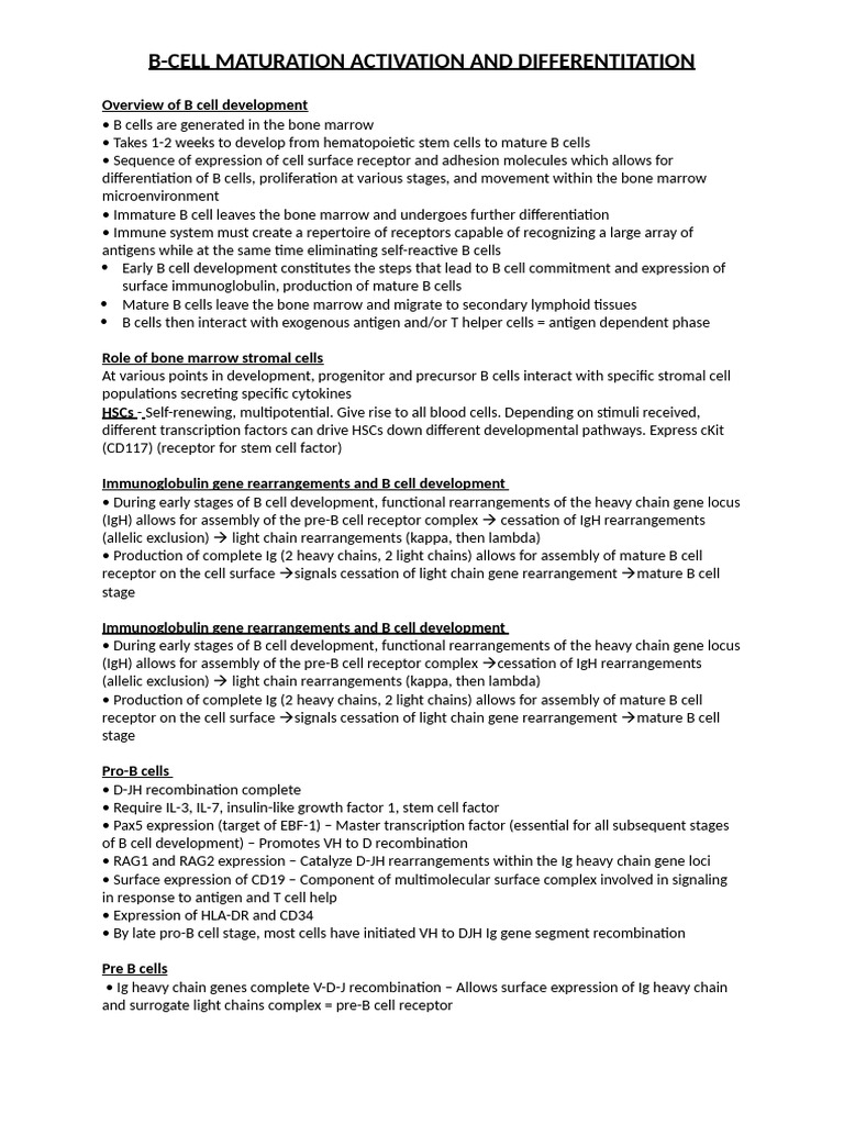 Overview of B Cell Development | PDF | B Cell | Antibody