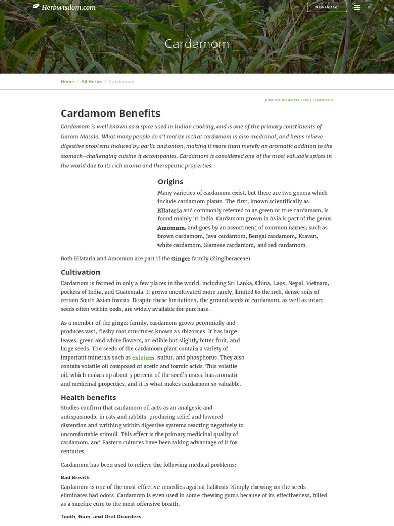 Cardamom Benefits - Information | PDF | Ginger