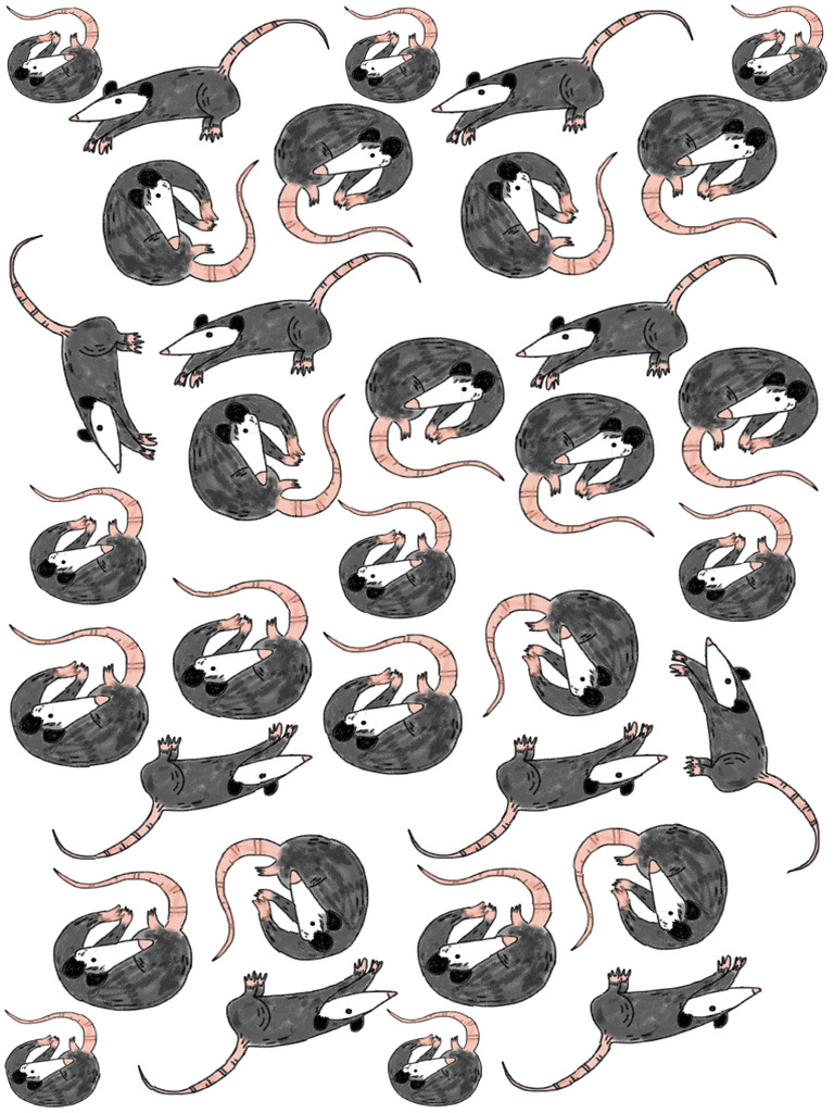 Stickers Tlacuaches | PDF